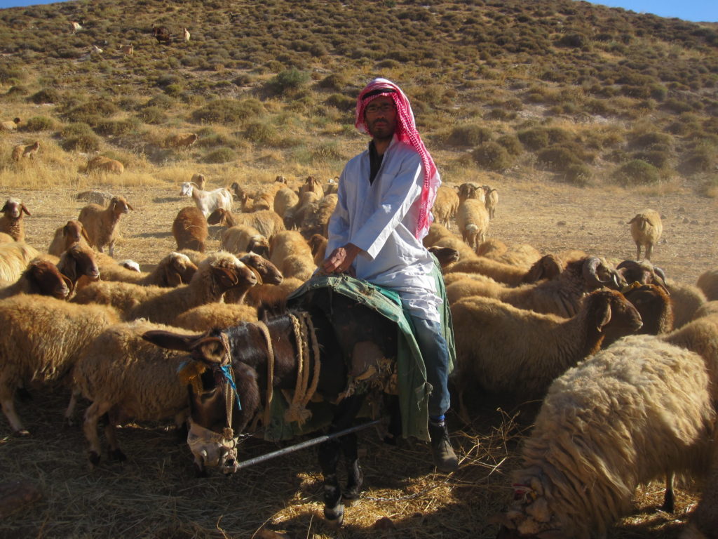 Liquid Immersion (Jordan, 2010), becoming a Bedouin shepherd | Romeo ...